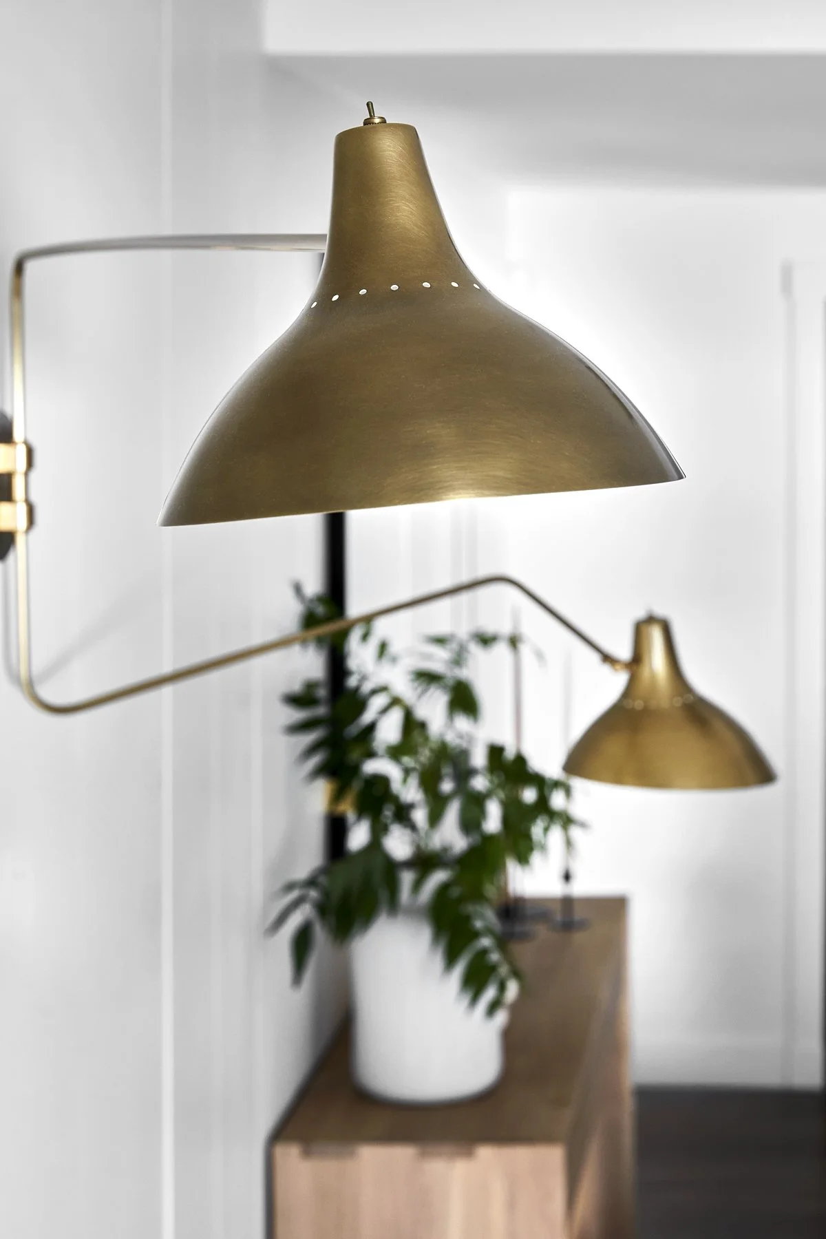 Mackenzie & Co. Portfolio⎪Curtis Point — Mac & Co.