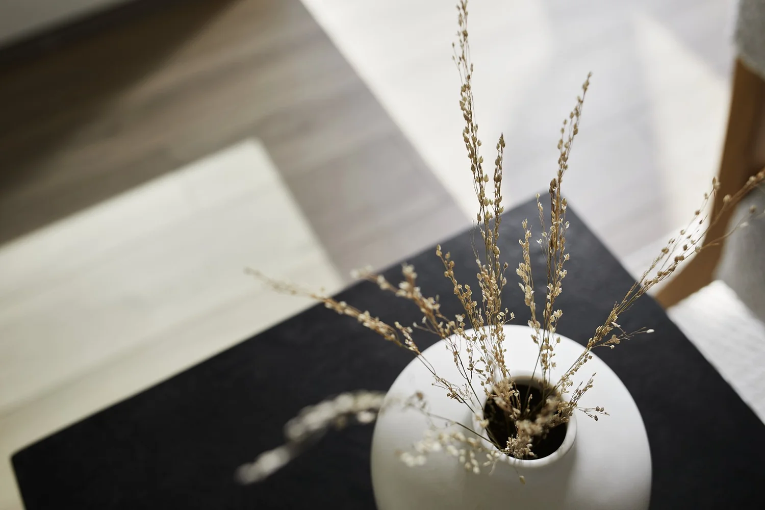 Mackenzie & Co. | Our Story & General Information — Mac & Co.