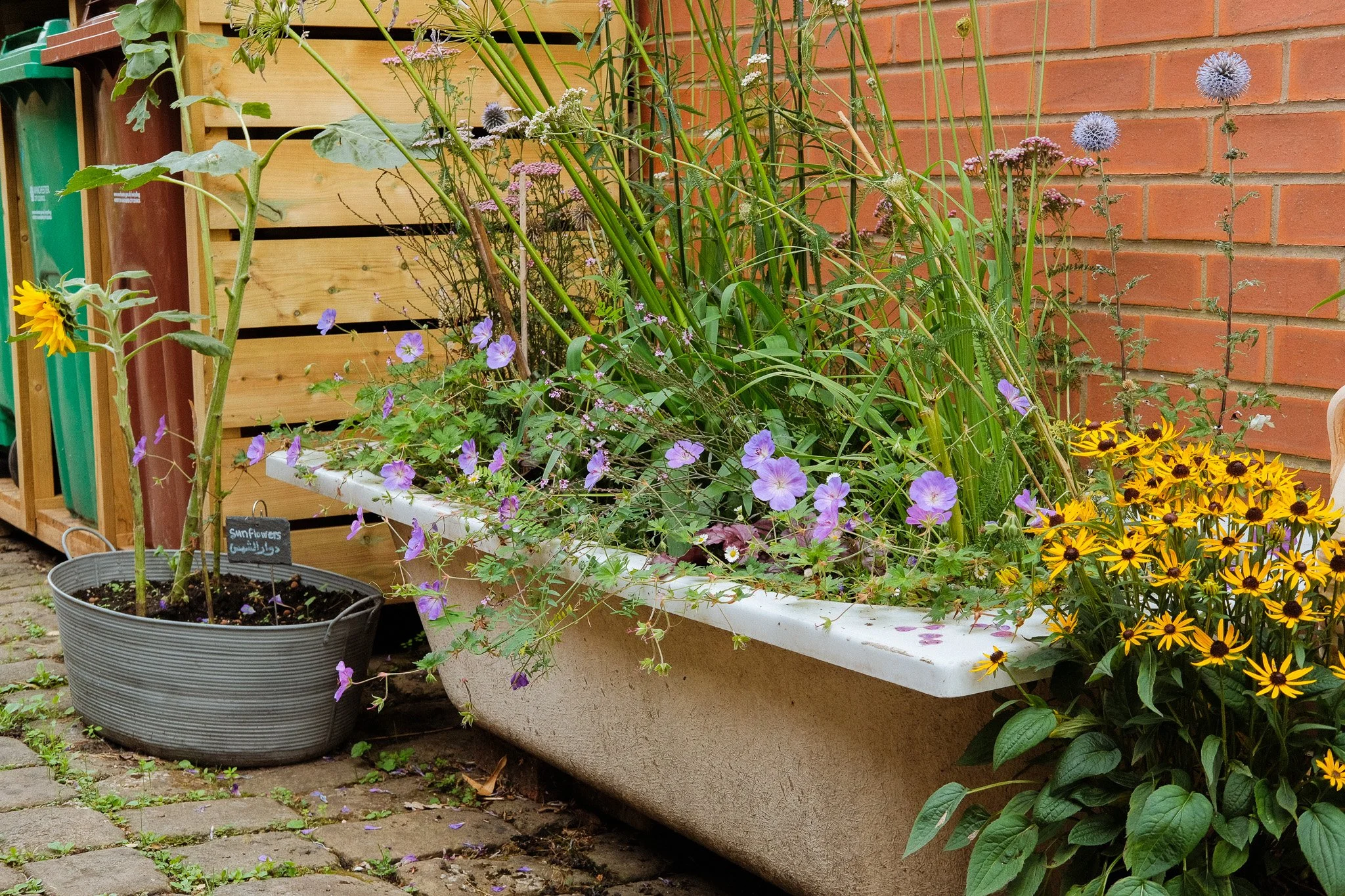 How to green your alleyway — In Our Nature