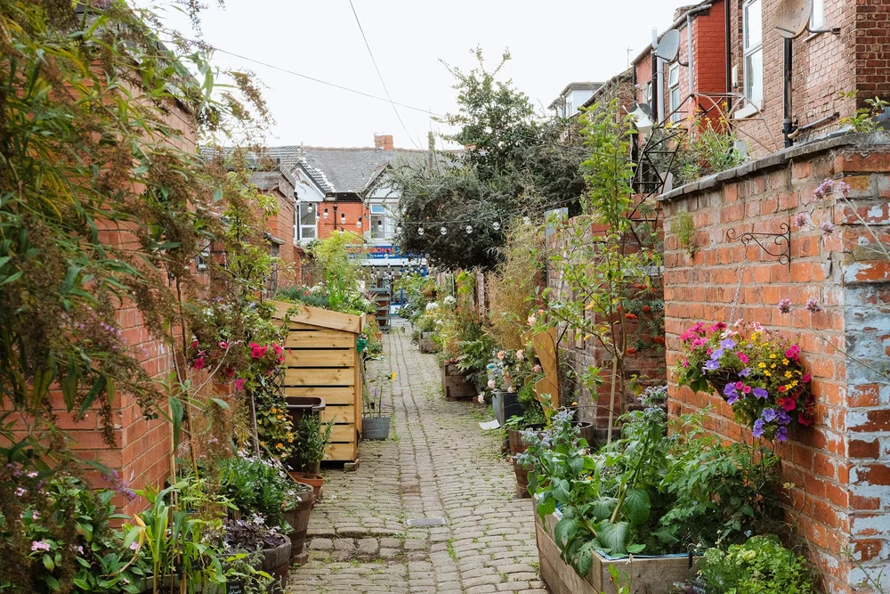 How to green your alleyway — In Our Nature