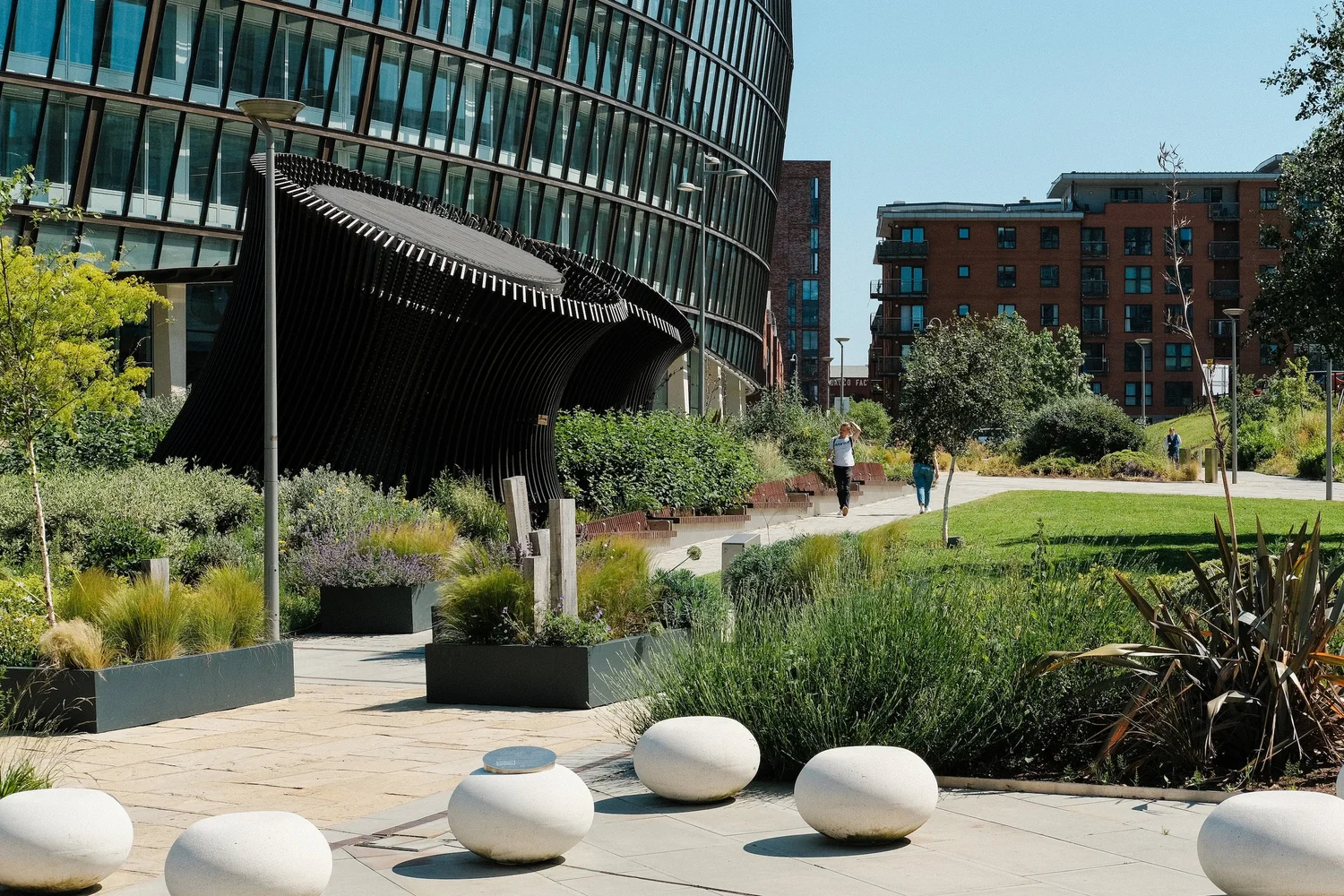 Meet Plant NOMA: the team redefining Manchester’s urban biodiversity ...