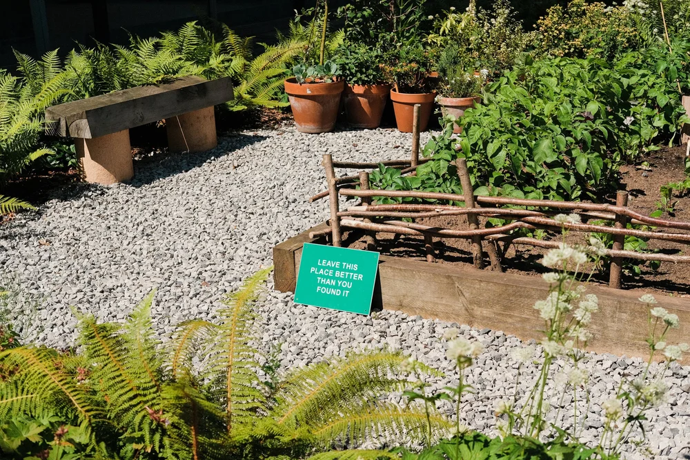 Meet Plant NOMA: the team redefining Manchester’s urban biodiversity ...