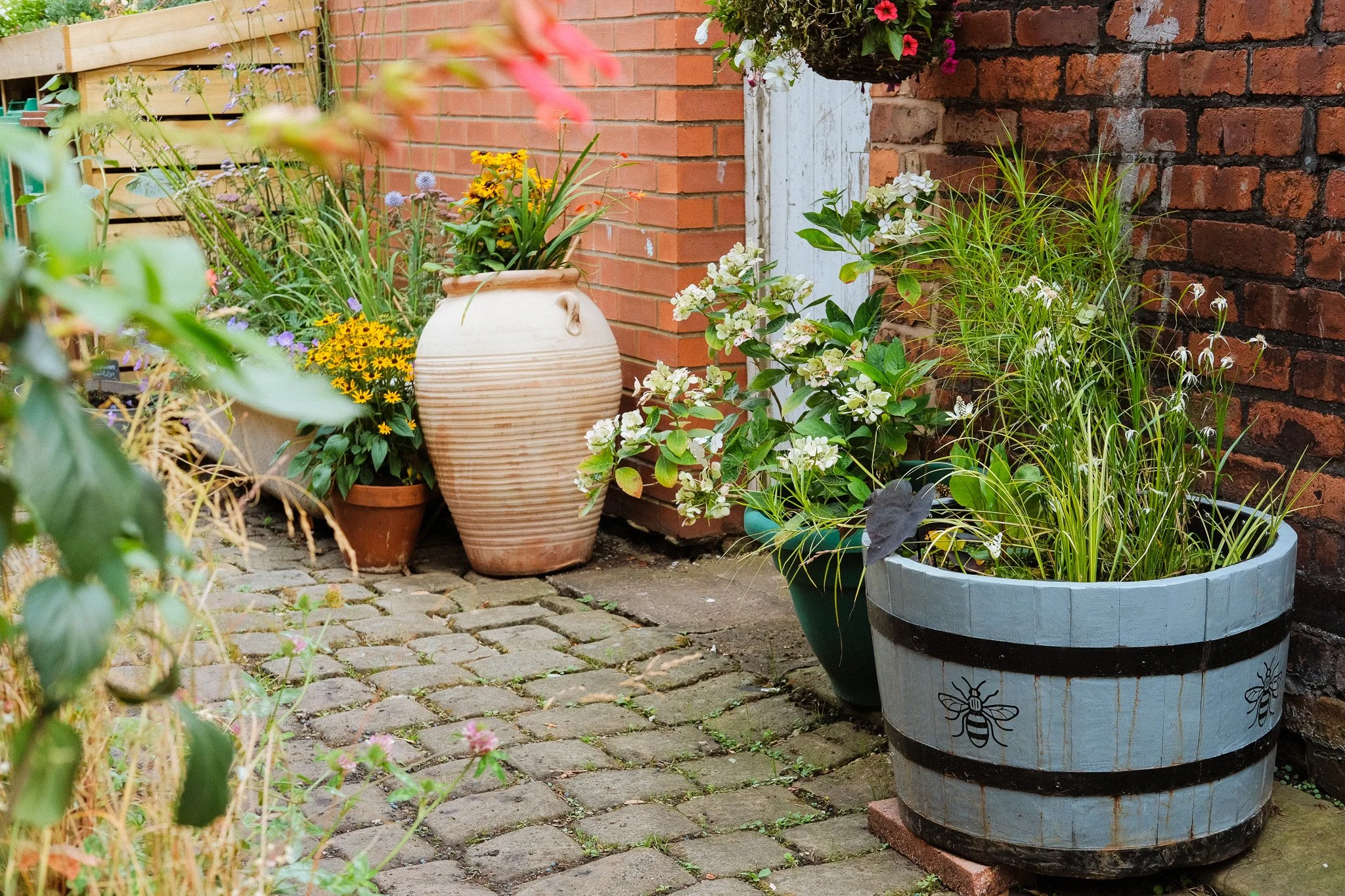 How to green your alleyway — In Our Nature