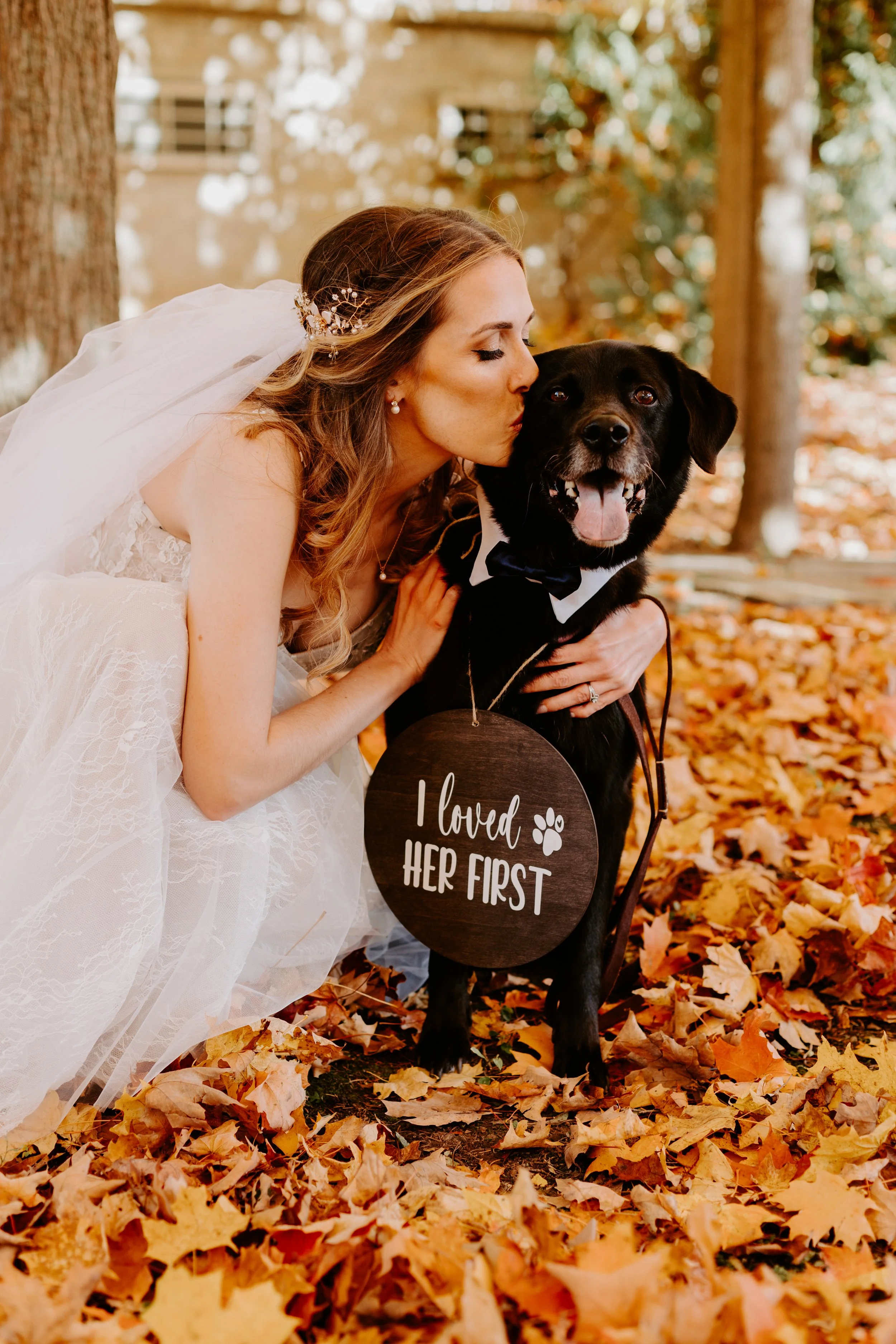 Wedding Dog Attendants Service in Ontario | Black Dog Weddings | Black ...