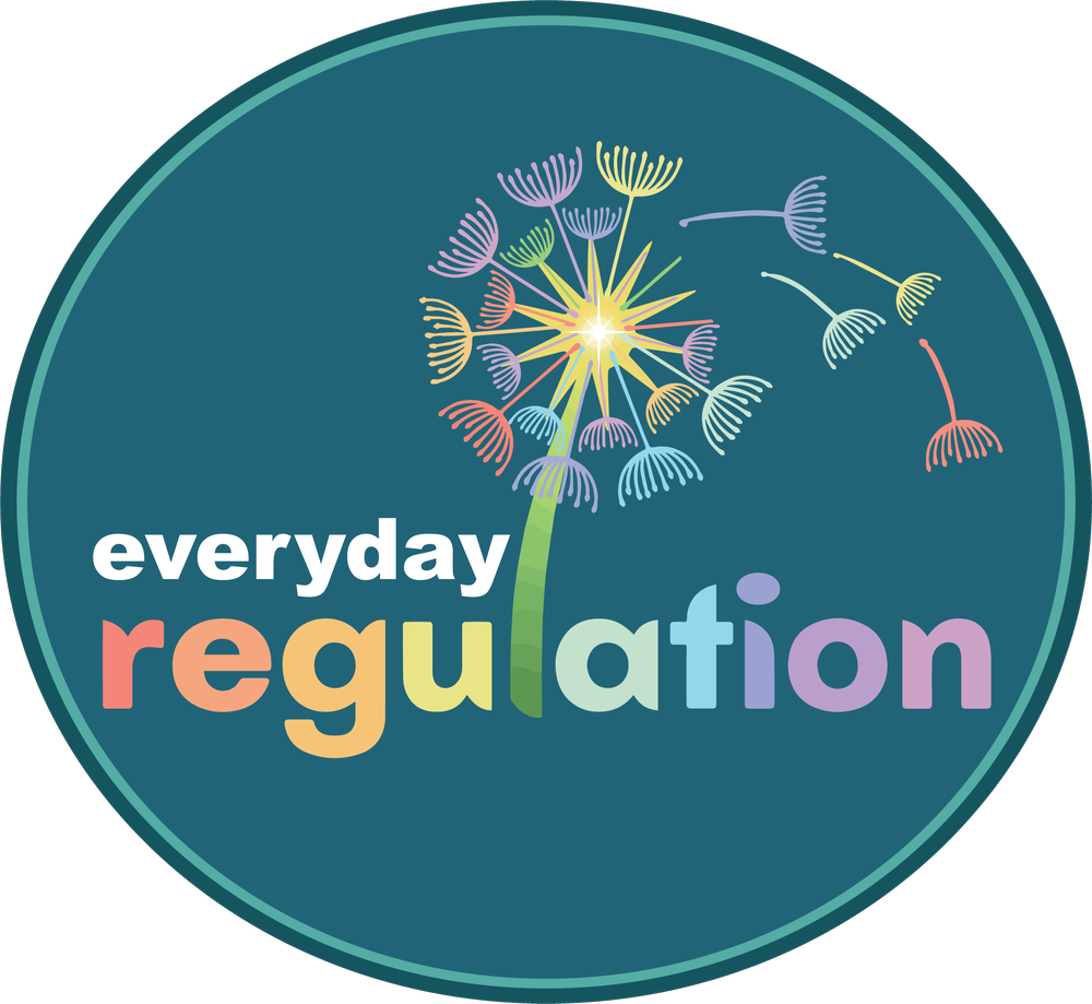 Everyday Regulation