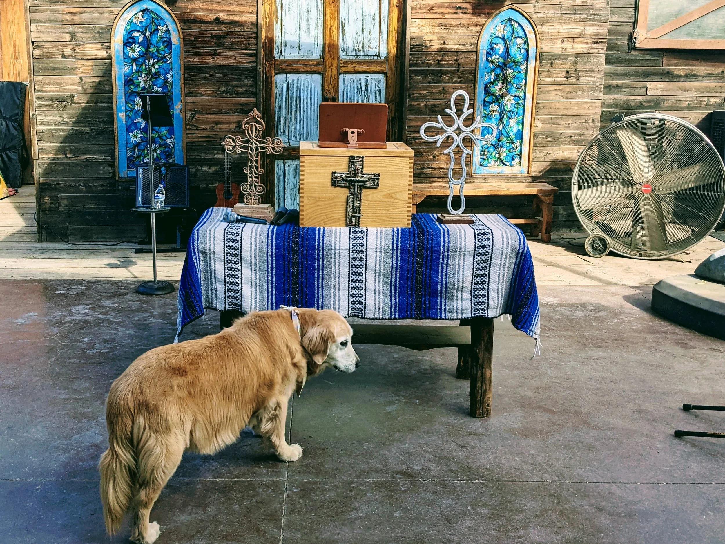 Ecclesia: Church at the Chip