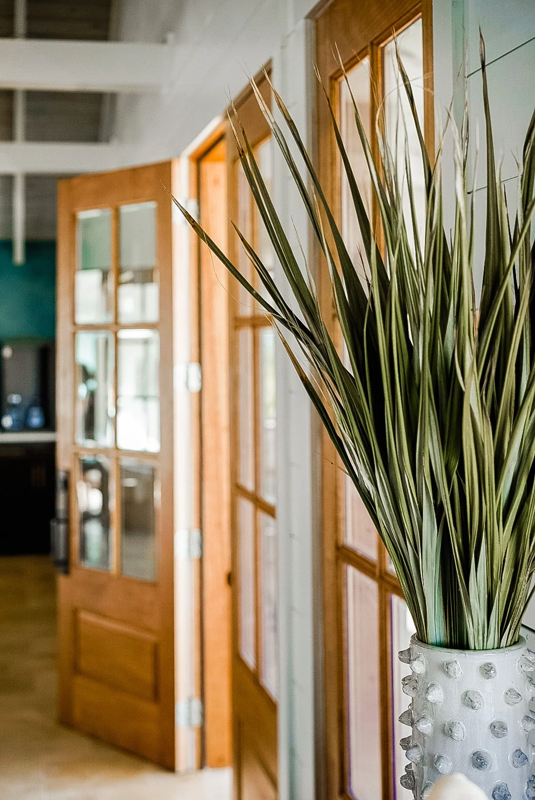 Gallery — Elbow Reef