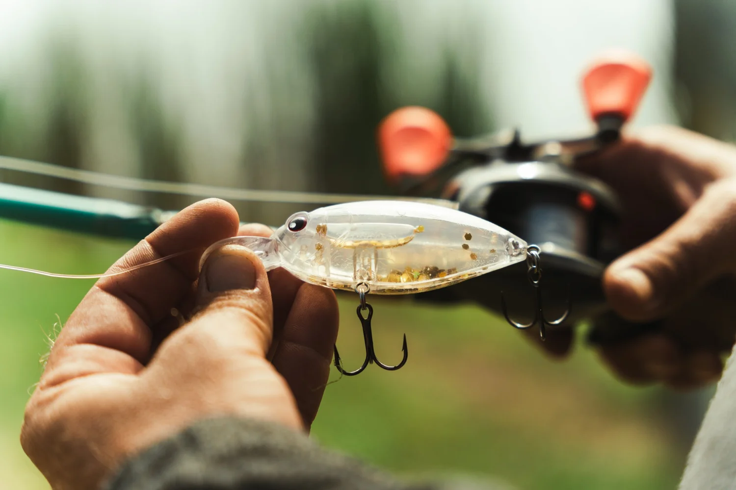Blog 2 — Glitter Lure