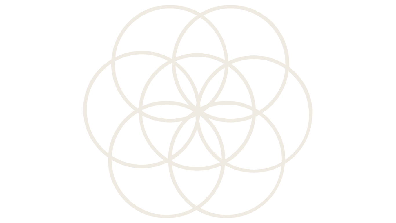 About DD Haeg | Rose Temple Living