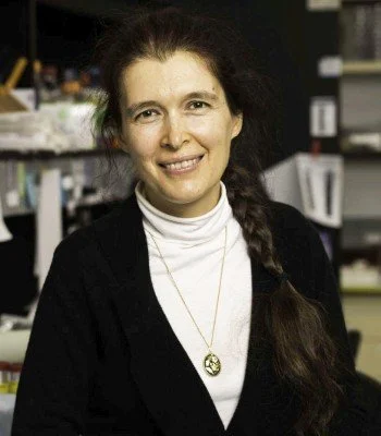 Team — LEV Foundation