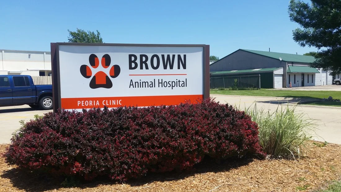 Best Vet Hospital In Peoria, IL | Brown Animal Hospital