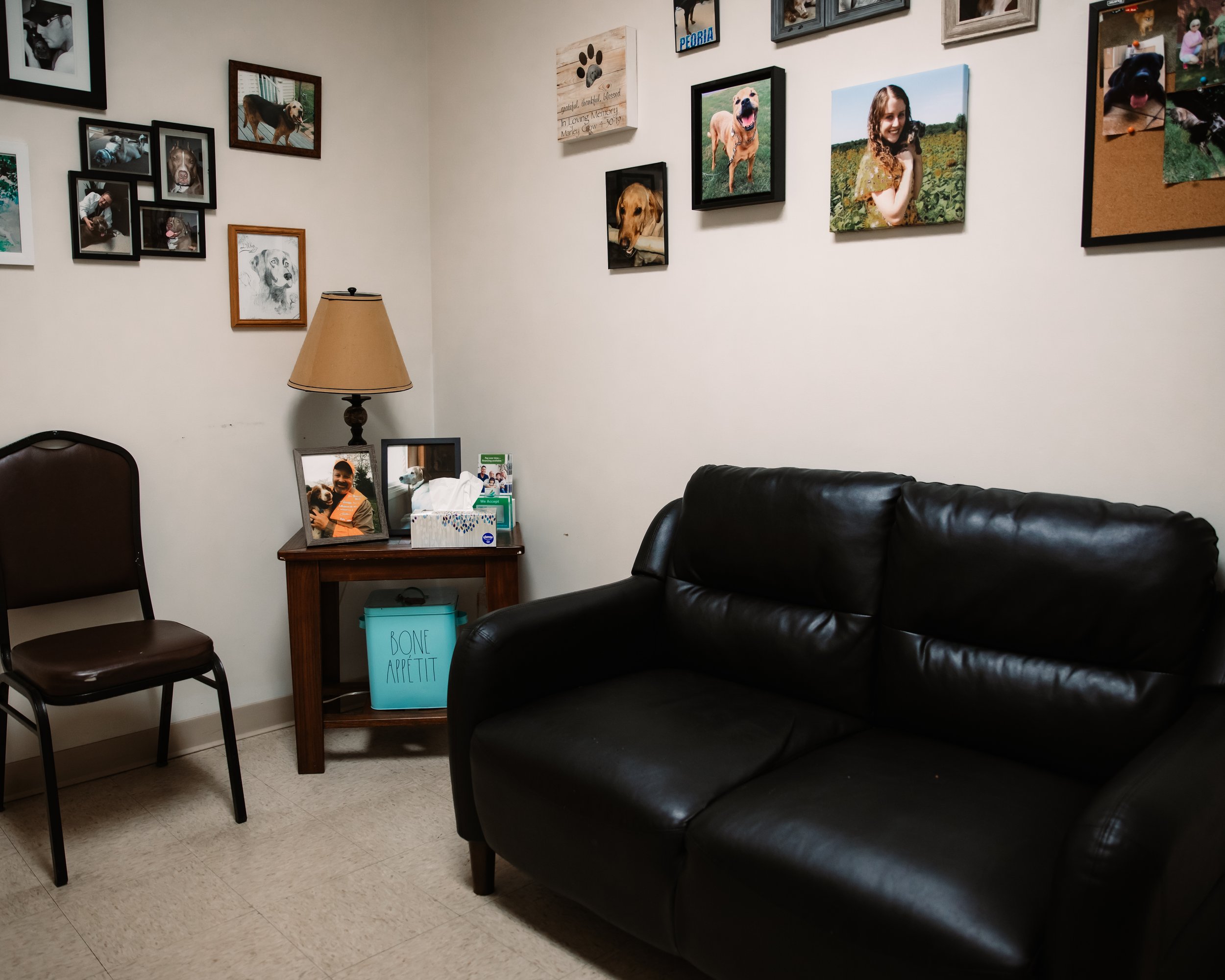 Best Vet Hospital In Peoria, IL | Brown Animal Hospital