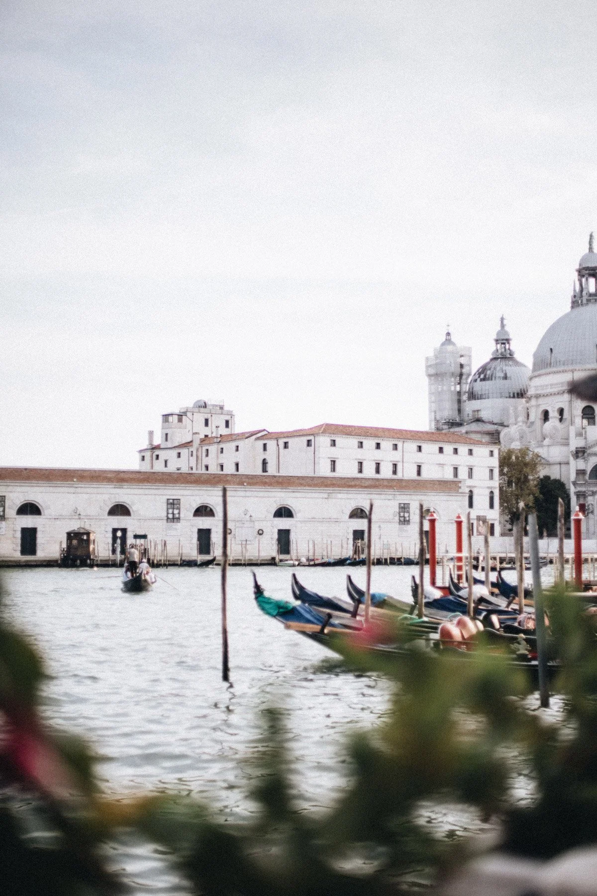 Venice — Abbie Mellé