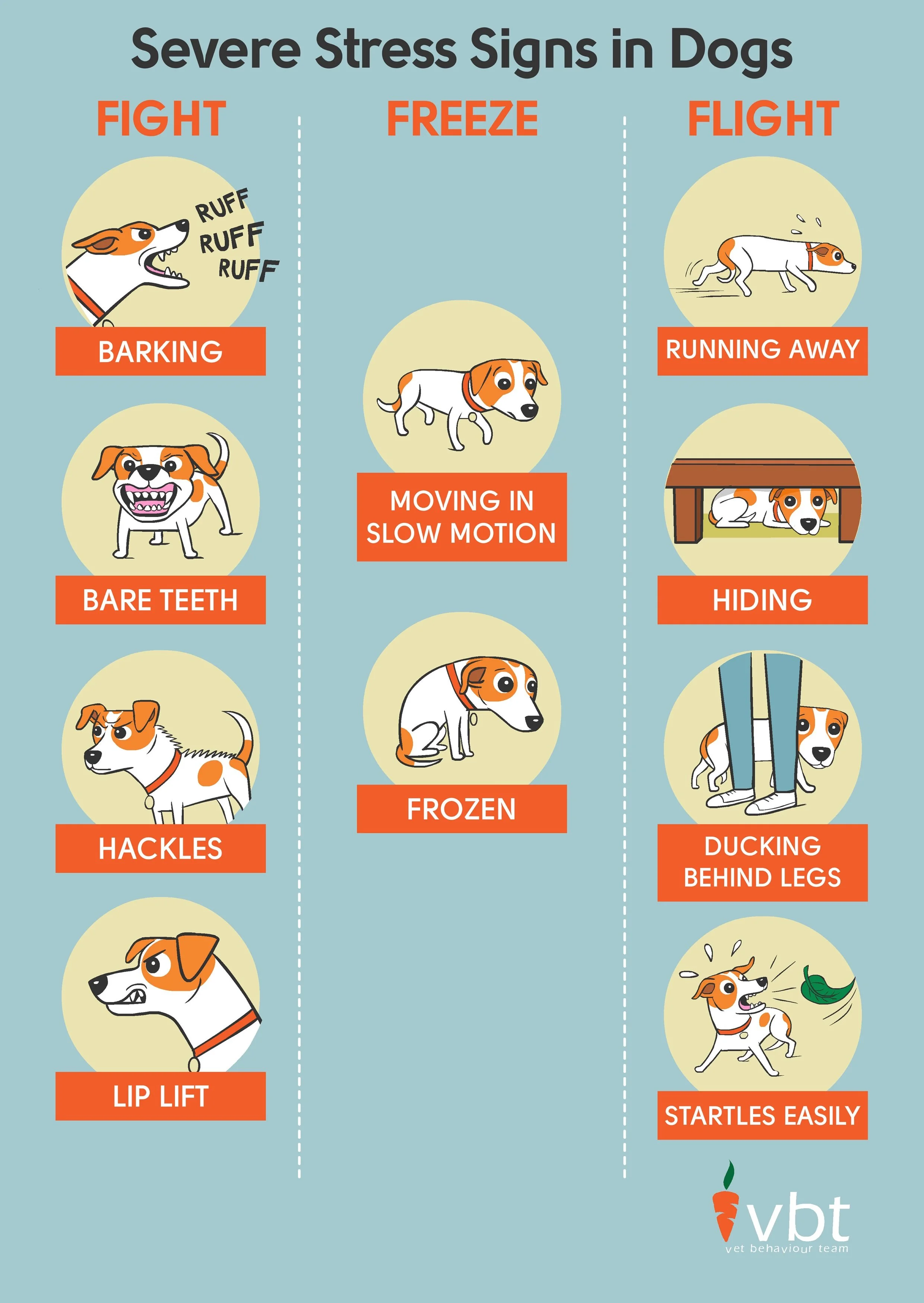 Understanding Dog Body Language — Paws and Reward - Positive Dog and ...