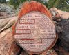 The Different Cuts of Wood: Understanding Their Characteristics and ...