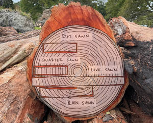 The Different Cuts of Wood: Understanding Their Characteristics and ...