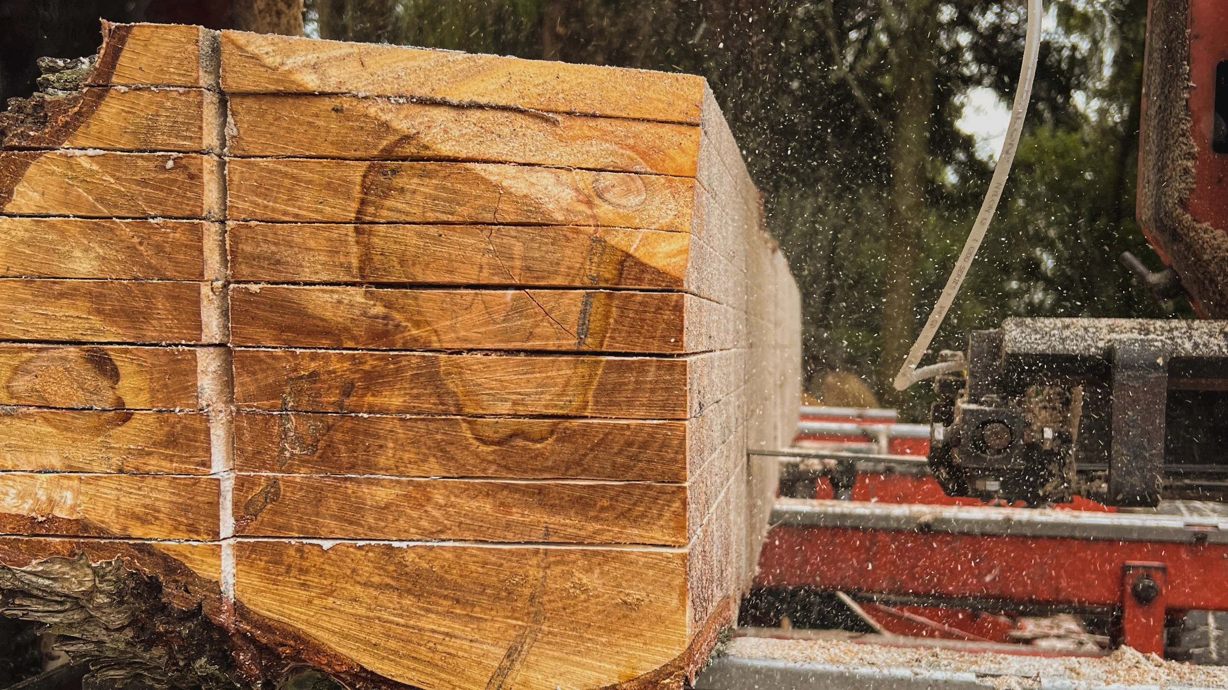 Portable Sawmilling — The Dusty Carpenter