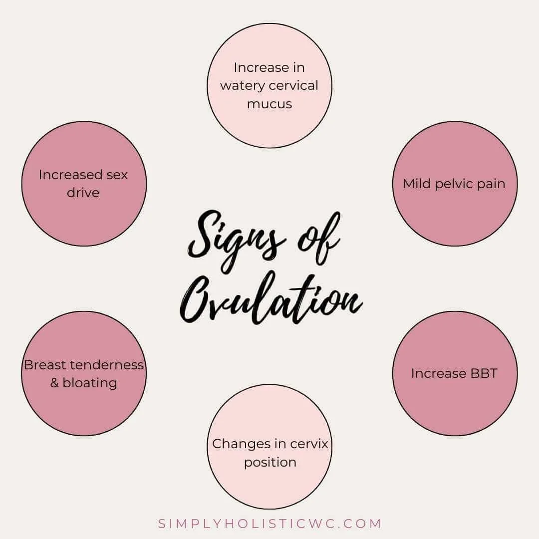 5 Ways to Track Ovulation when Trying to Get Pregnant — Simply Holistic ...