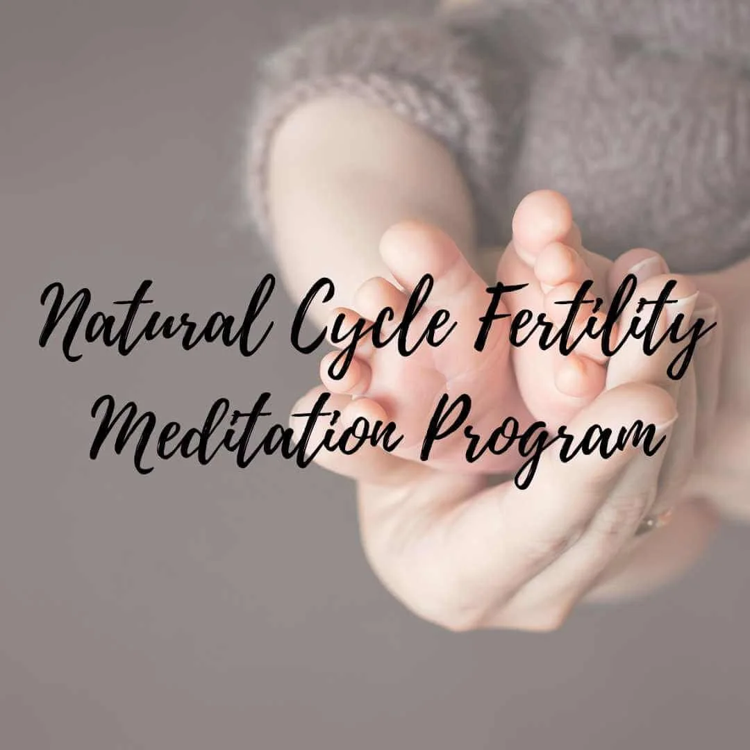 How to Enhance Fertility with Daily Meditation — Simply Holistic Wellness