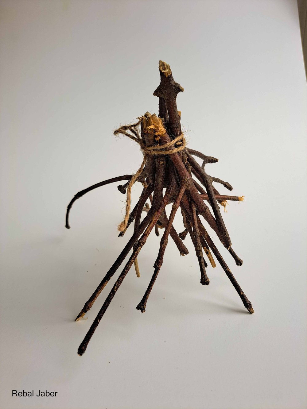Digital and Analog Integration for the Reuse of Tree Forks | Innovative ...