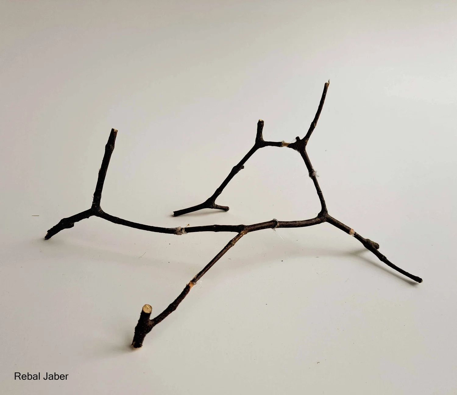 Digital and Analog Integration for the Reuse of Tree Forks | Innovative ...