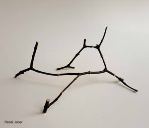 Digital and Analog Integration for the Reuse of Tree Forks | Innovative ...