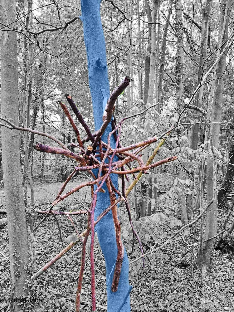 Digital and Analog Integration for the Reuse of Tree Forks | Innovative ...