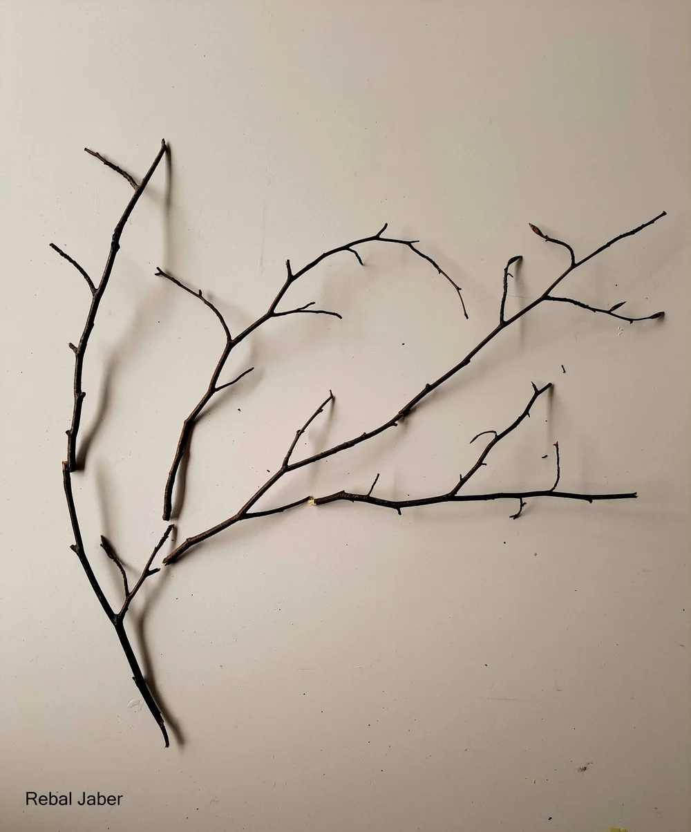 Digital and Analog Integration for the Reuse of Tree Forks | Innovative ...