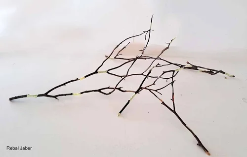 Digital and Analog Integration for the Reuse of Tree Forks | Innovative ...