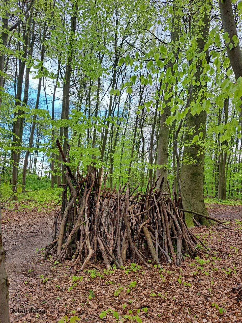 Digital and Analog Integration for the Reuse of Tree Forks | Innovative ...