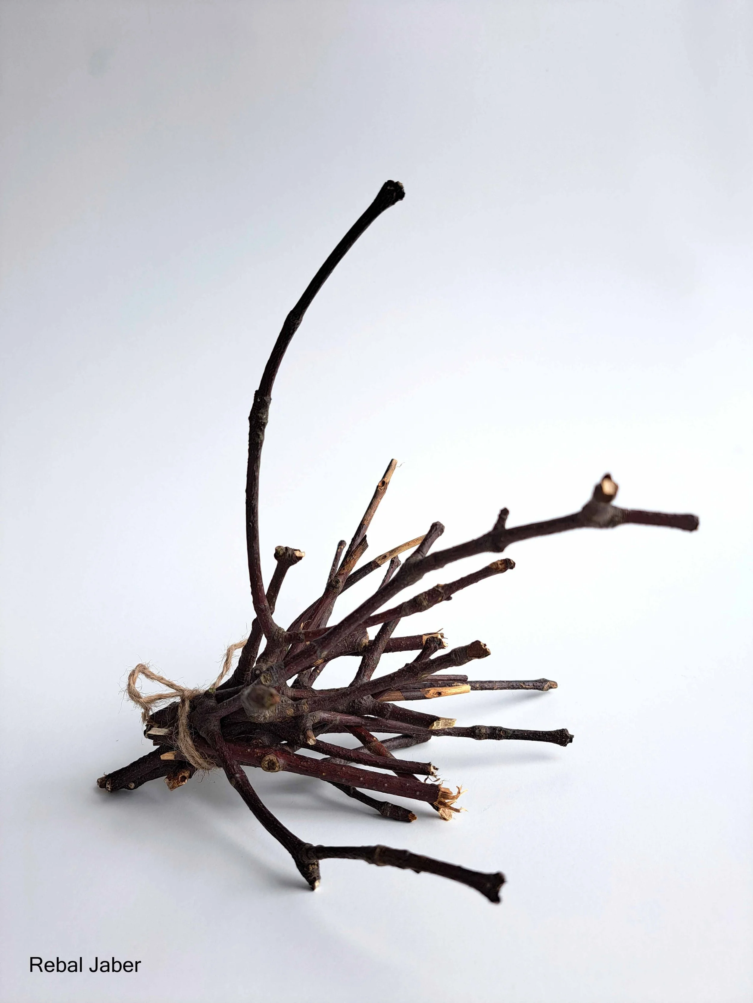 Digital and Analog Integration for the Reuse of Tree Forks | Innovative ...