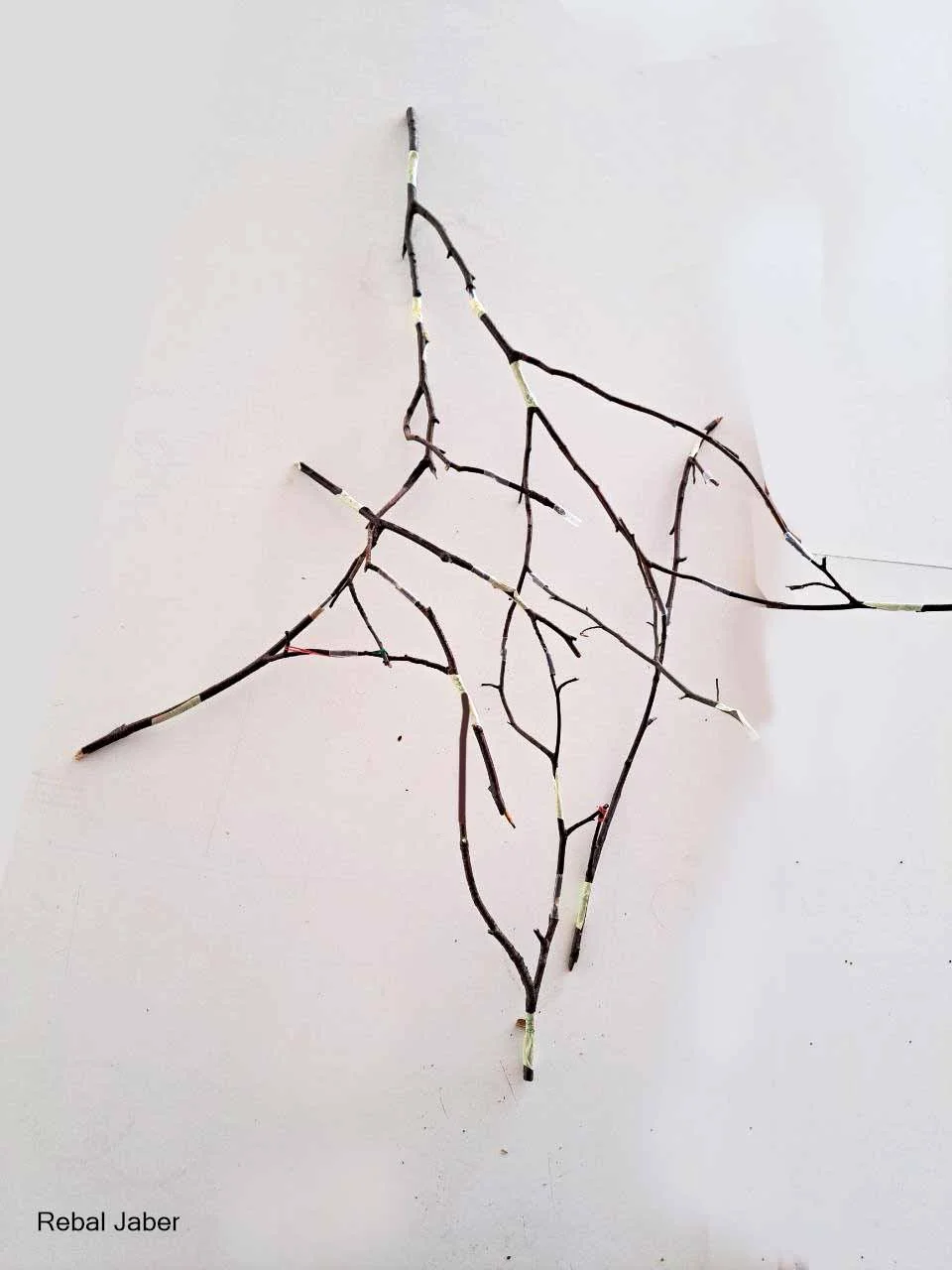 Digital and Analog Integration for the Reuse of Tree Forks | Innovative ...