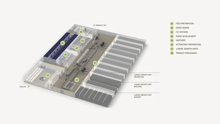 How does insect farming work? — Entocycle | Insect Farming Technology