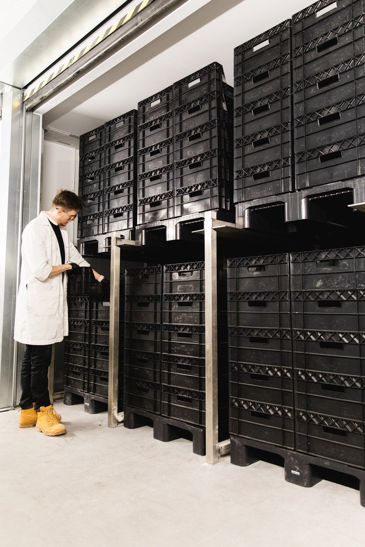 Bioconversion for waste management — Entocycle | Insect Farming Technology