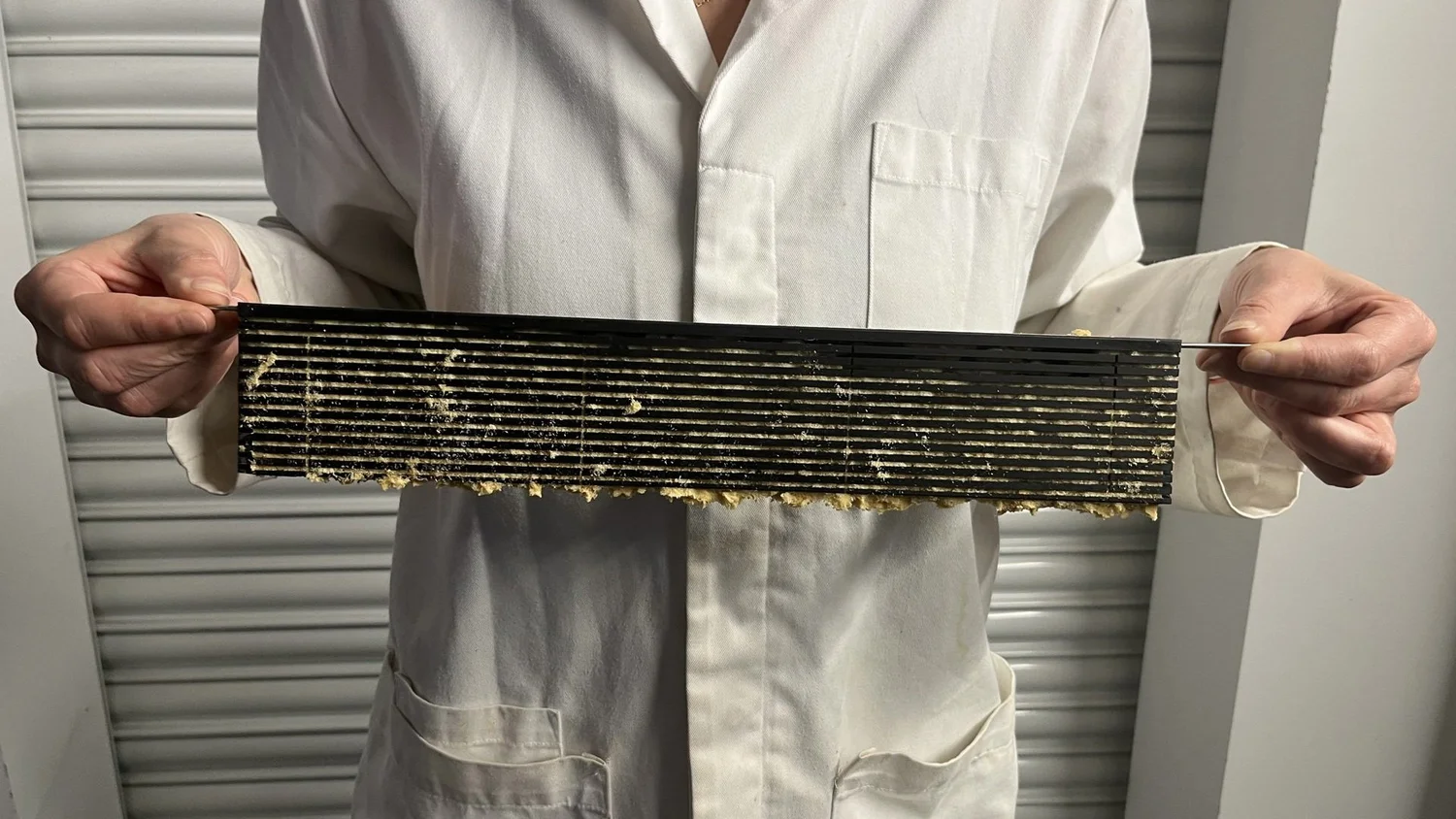 How does insect farming work? — Entocycle | Insect Farming Technology
