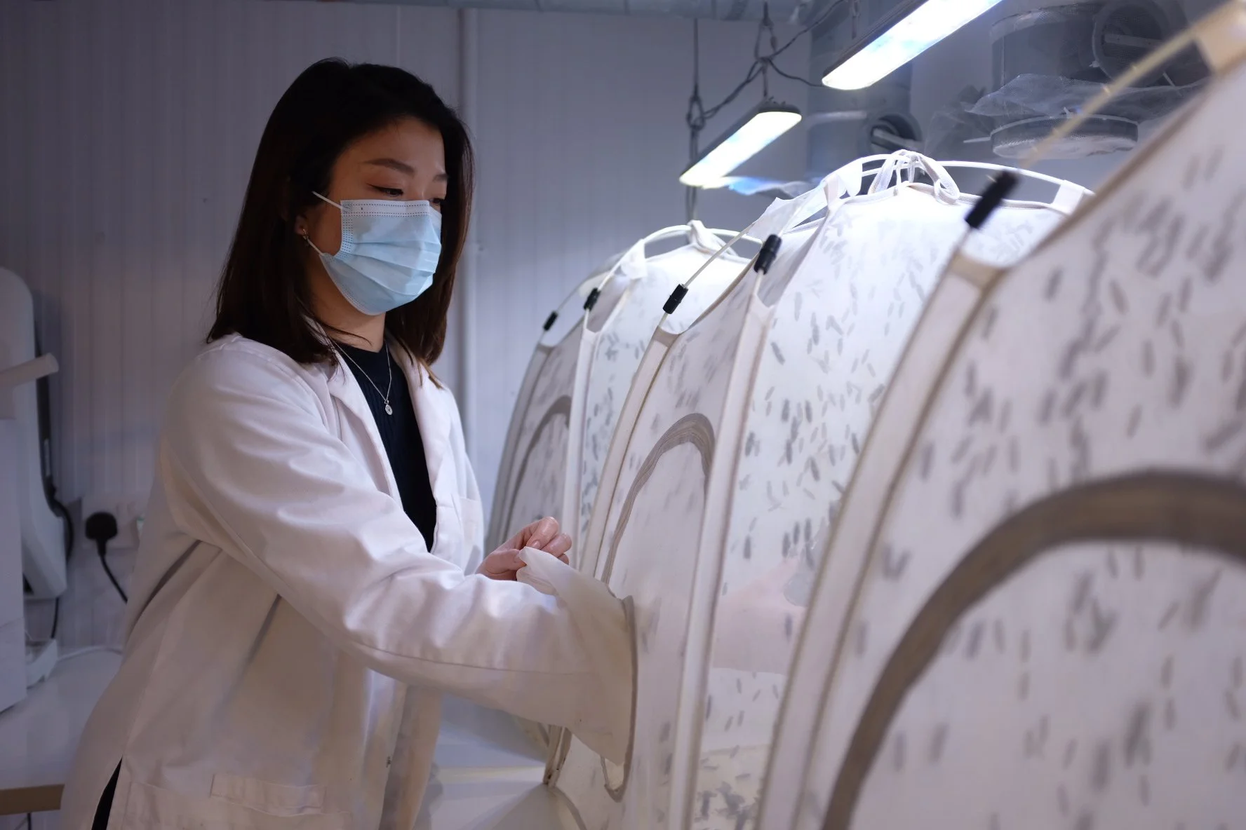 Commercial scale insect farm — Entocycle | Insect farms and insect ...