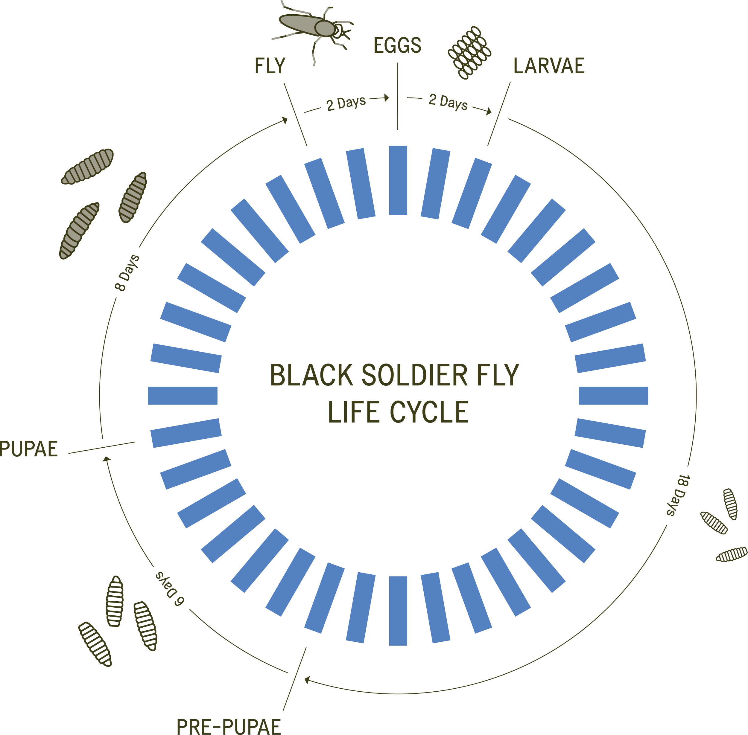 Modular insect farming technology — Entocycle | Insect Farming Technology