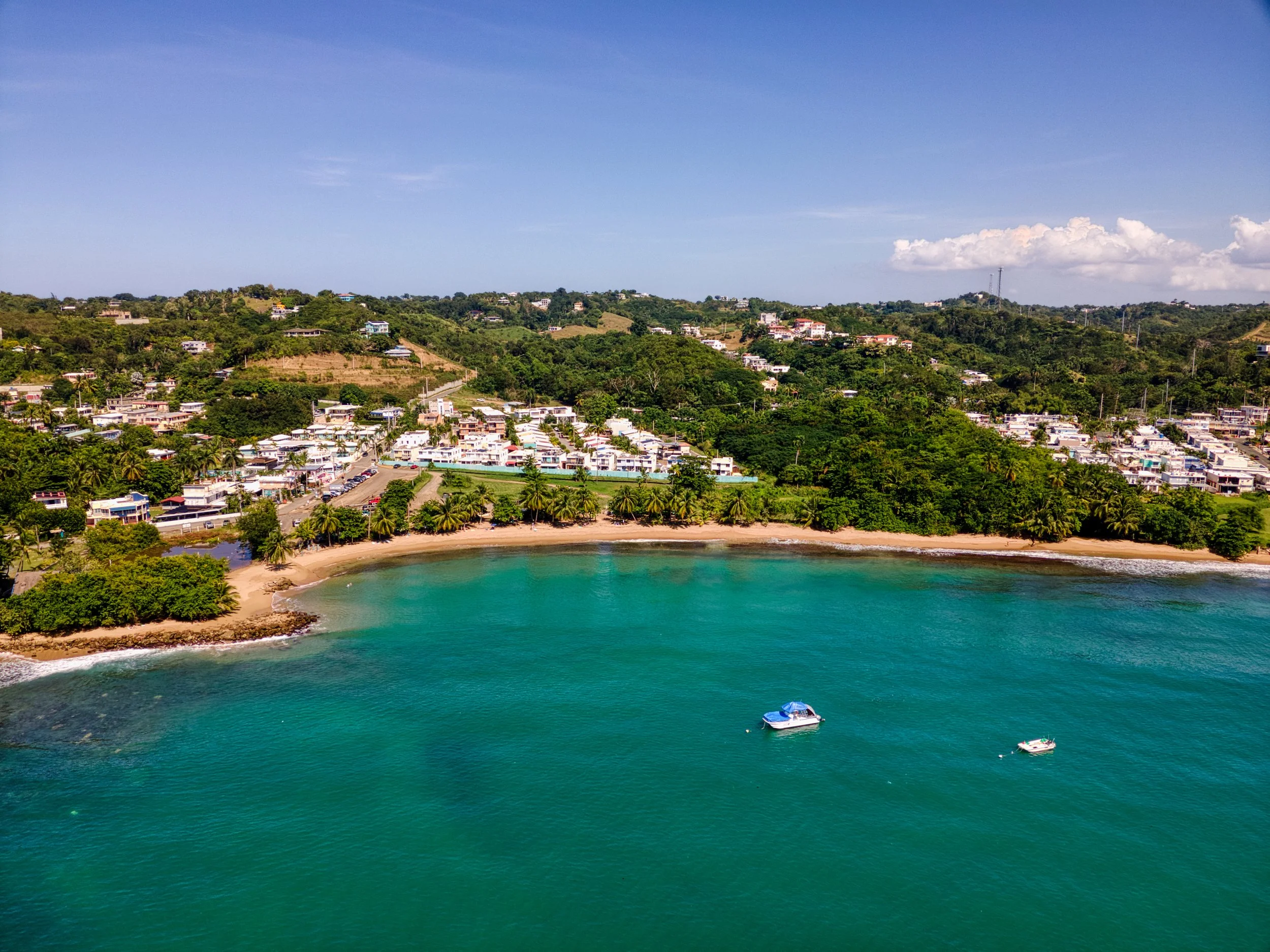 Out of The Blue Charters — Rincon Fishing | Things to do in Rincon PR