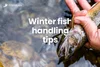 Winter fish handling tips — Sauk River Chain of Lakes Association