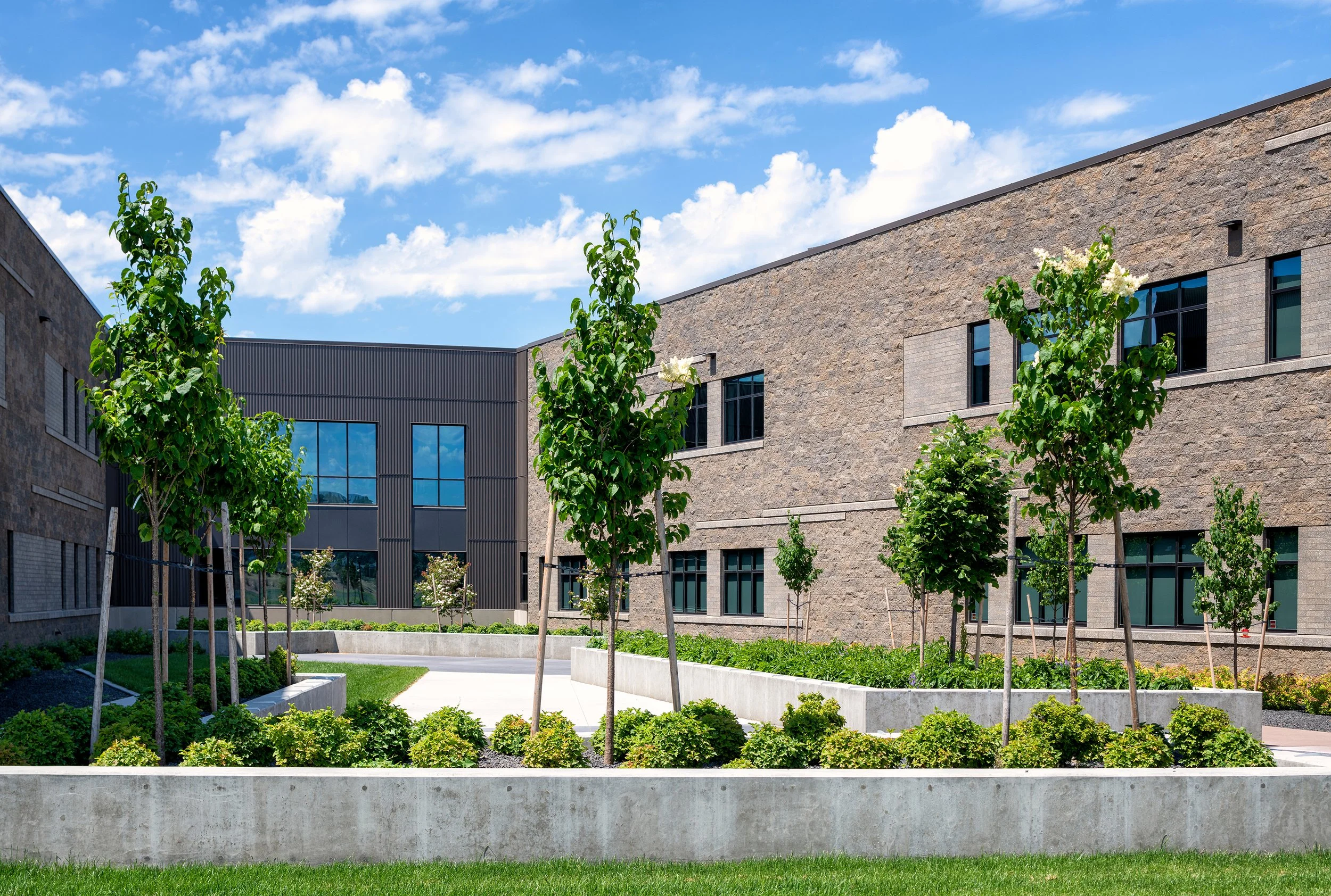 Gallery 3 — Bernardo Wills