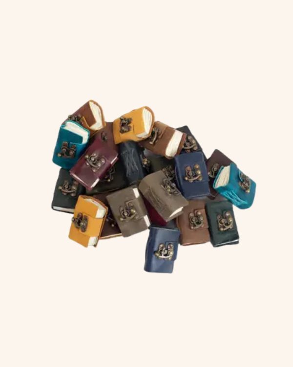 Teeny Tiny Fairy Diary — Something Wonderful