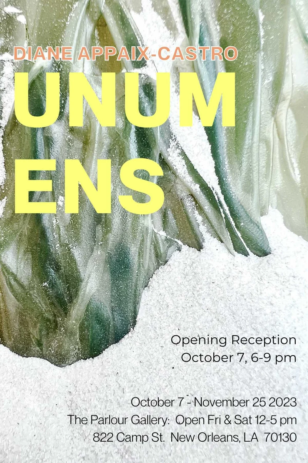 The Parlour Gallery — Camp Street Studios