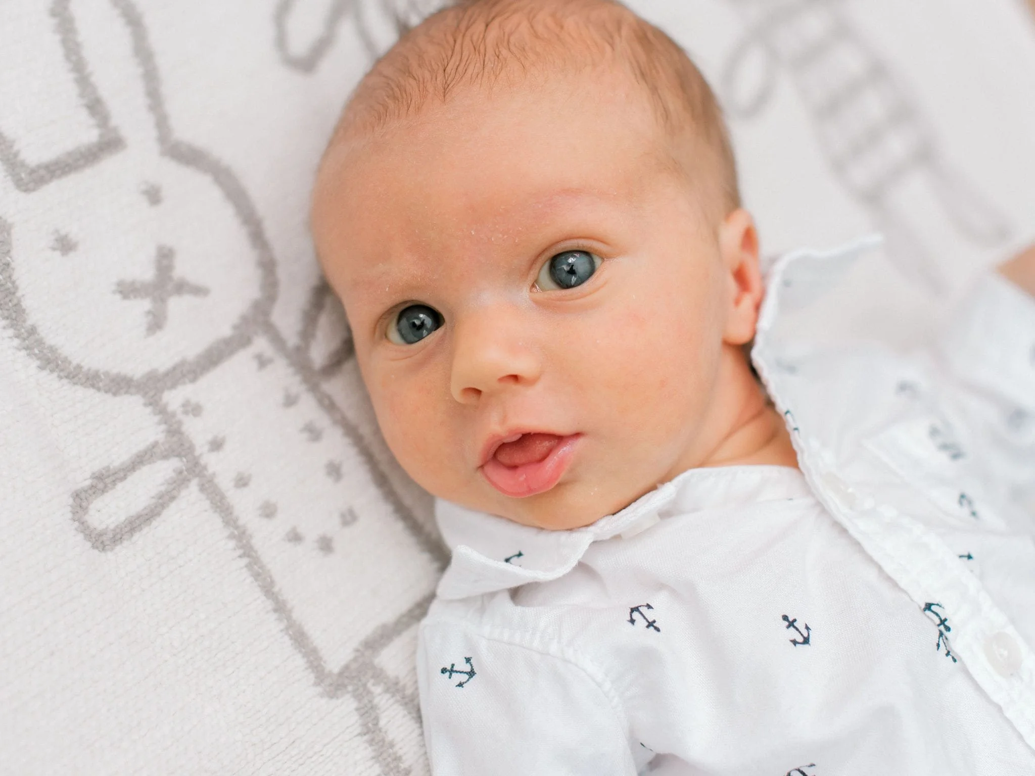 Home — Dr. Jane Levesque