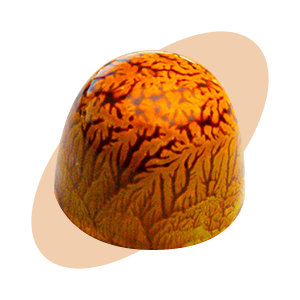 Flavor Guide — Splendid Oaks Chocolate