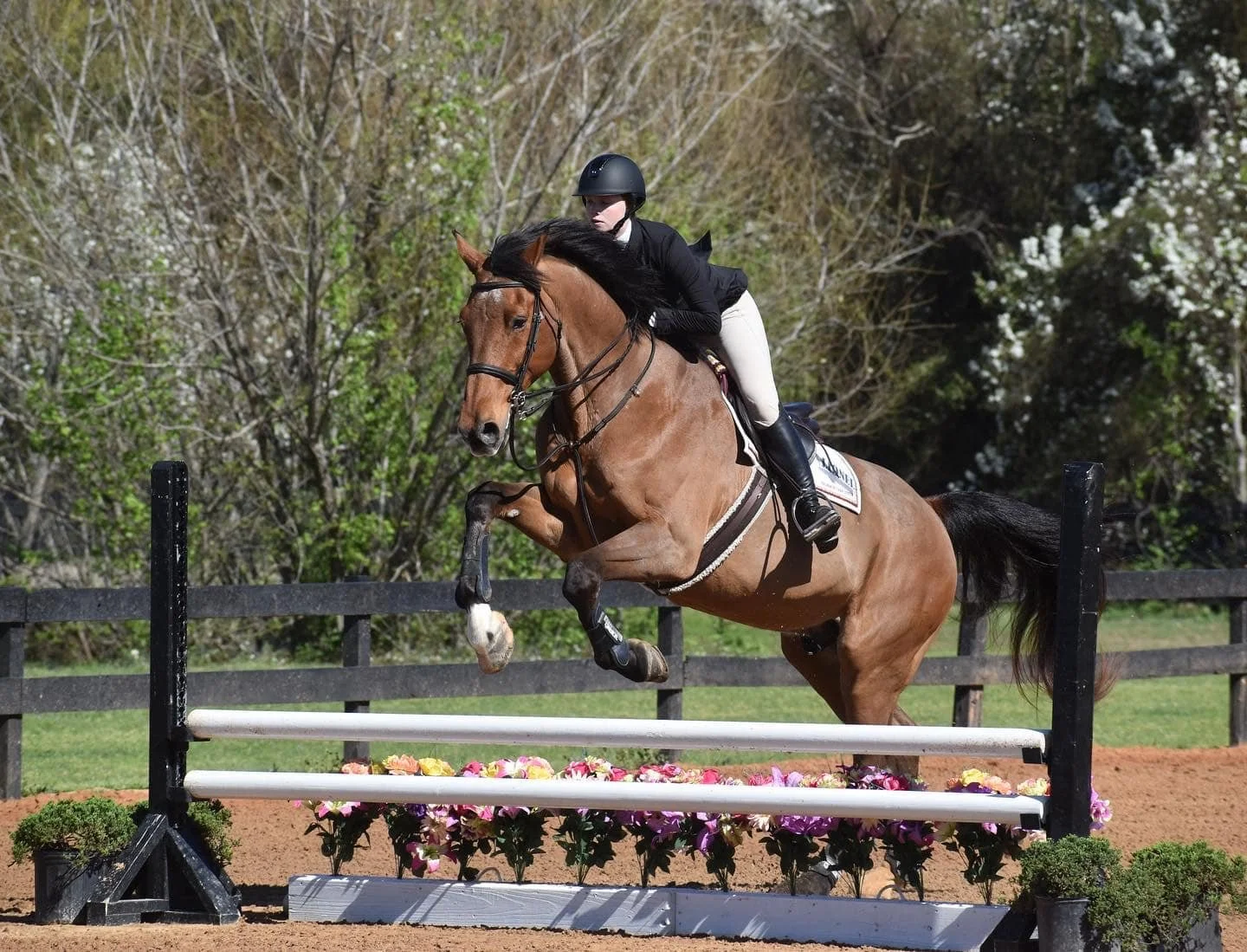 Converse University Equestrian — Hidden Valley Farm