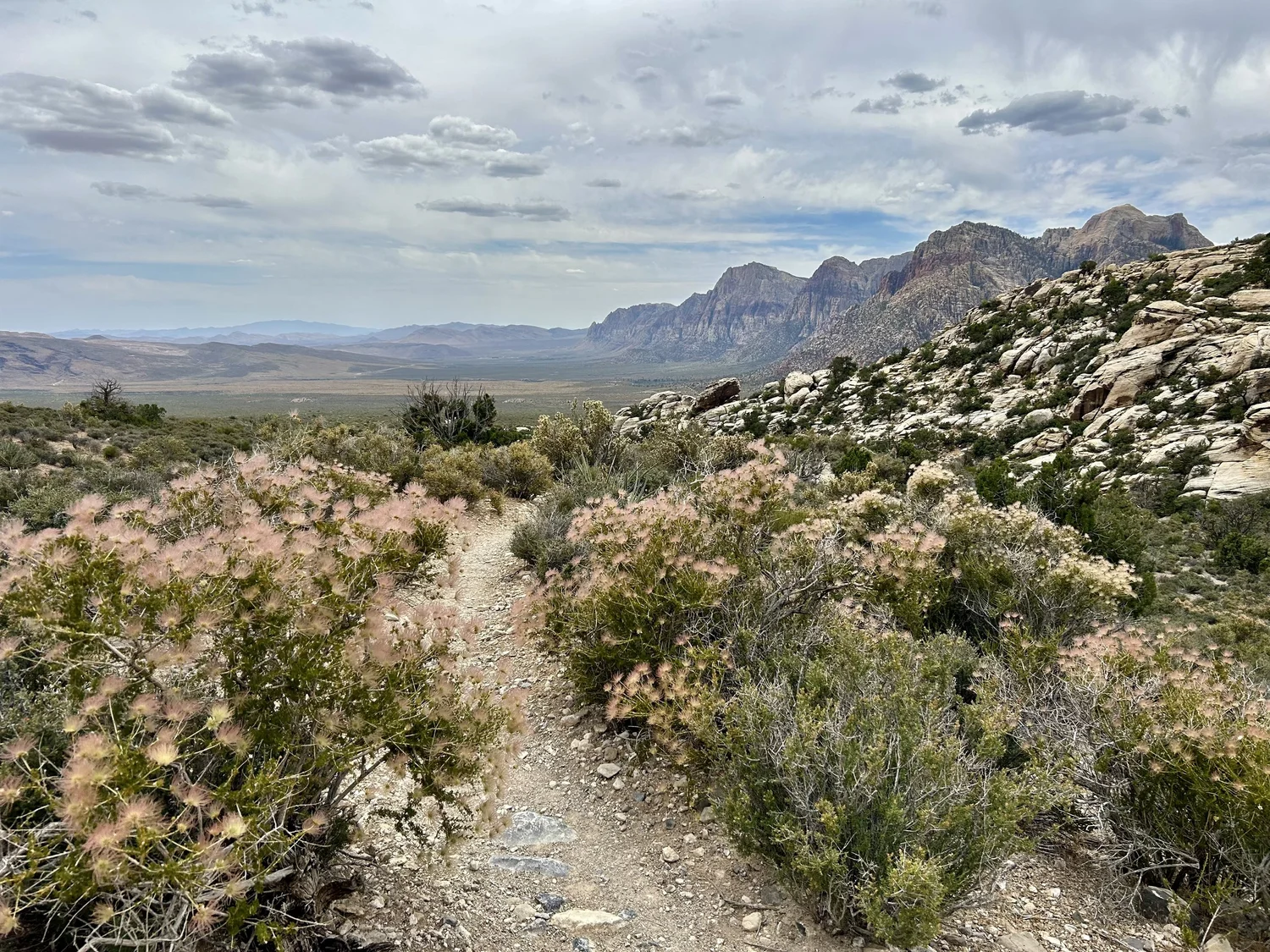 RightWise Wealth | Financial Advice & Investment Management