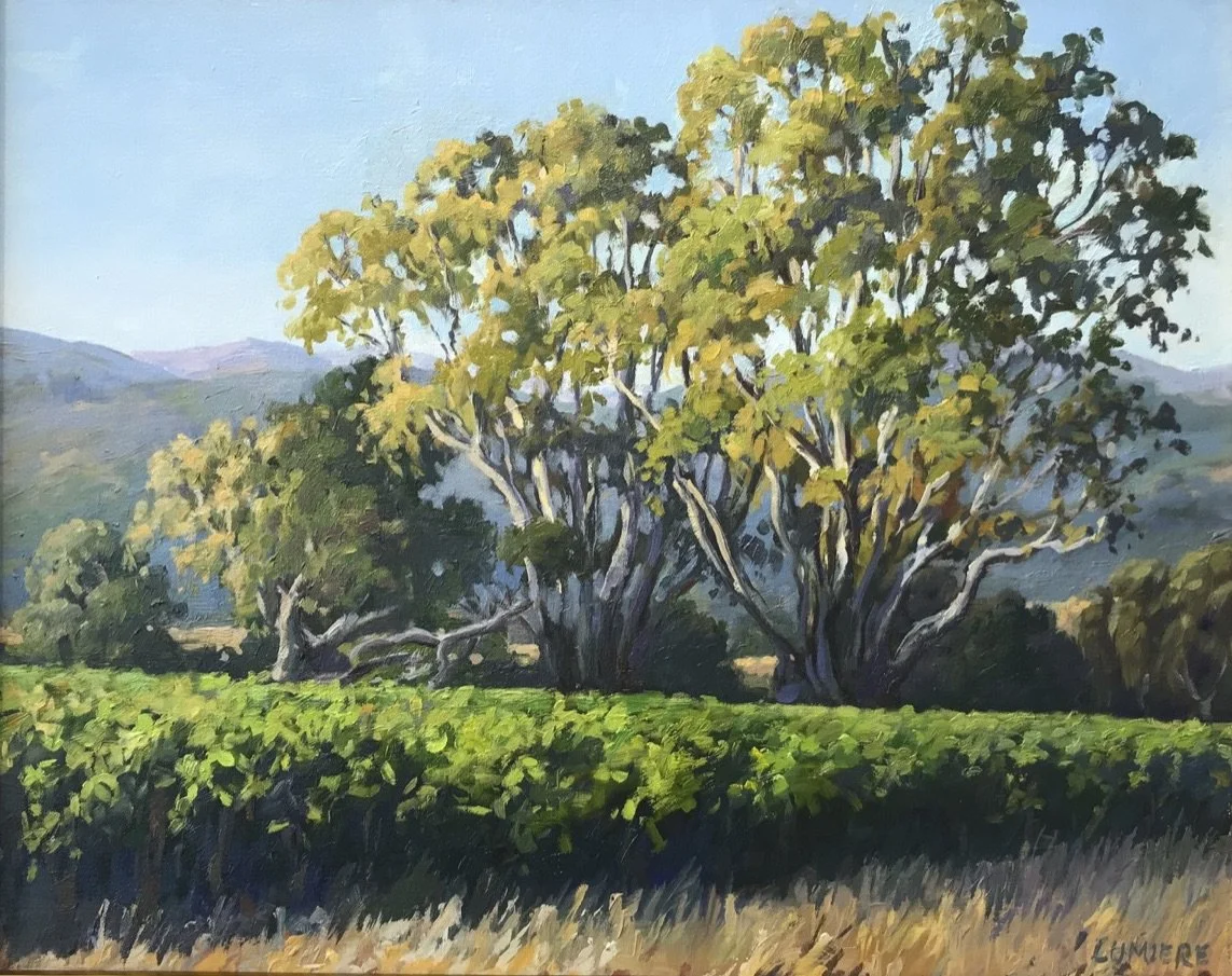Guild Artists — Arts Guild of Sonoma