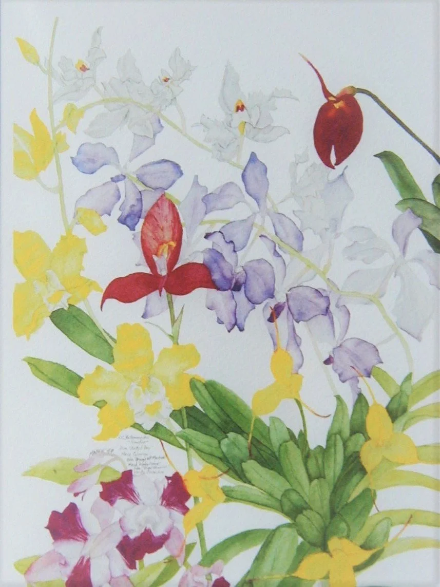 Guild Artists — Arts Guild of Sonoma