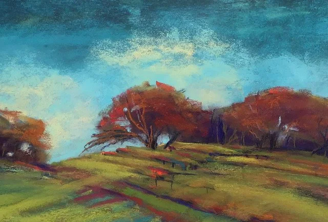 Guild Artists — Arts Guild of Sonoma