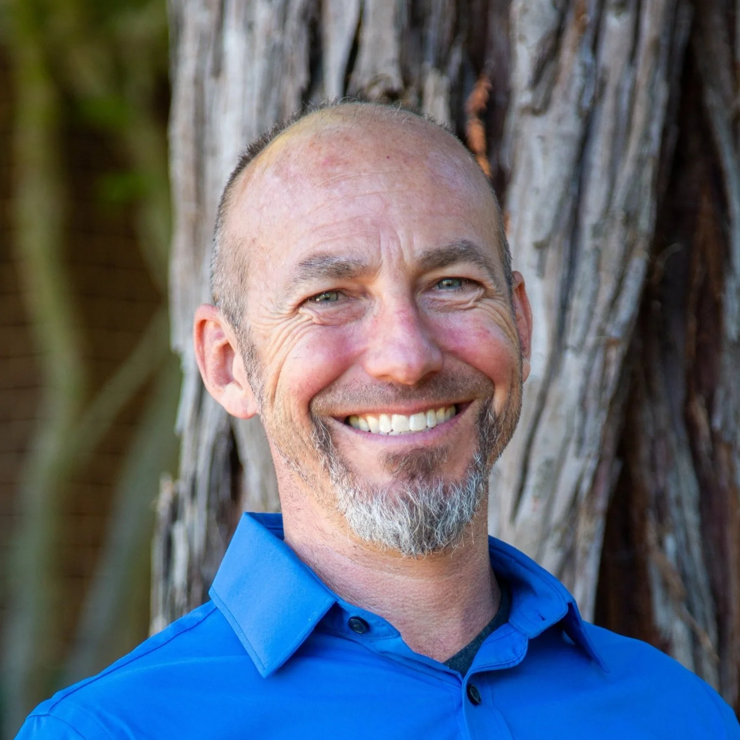 Our Therapists — The Center